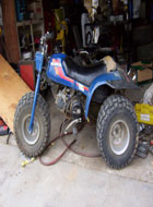 3 WHeeLeR WoRLD's Honda ATC 110 Picture Page #1