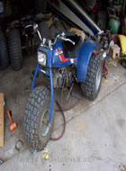 3 WHeeLeR WoRLD's Honda ATC 110 Picture Page #1