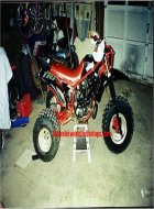 THRee WHeeLeR WoRLD's Yamaha Tri-Z Picture Page #3