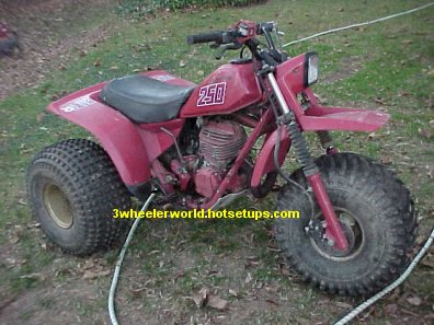 THRee WHeeLeR WoRLD's Honda ATC 250R Picture Page #1