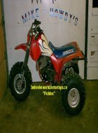 THRee WHeeLeR WoRLD's Honda ATC 350x Picture Page #5
